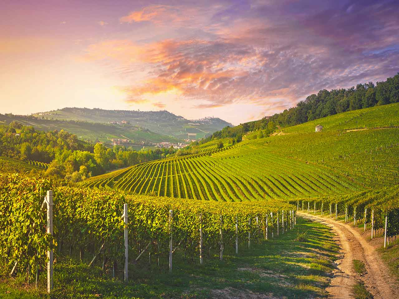 PIEMONTE IN CAMPER ALLA SCOPERTA DELLE LANGHE